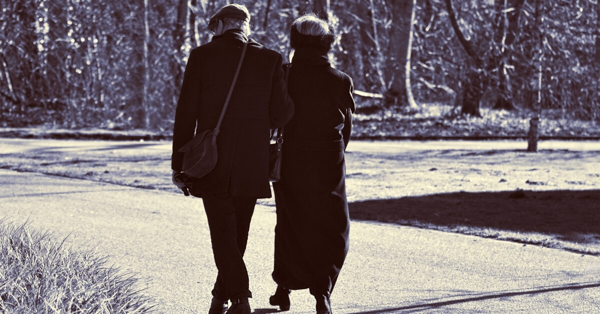 The Complete Guide to Baltimore Snowbird Transport to FL